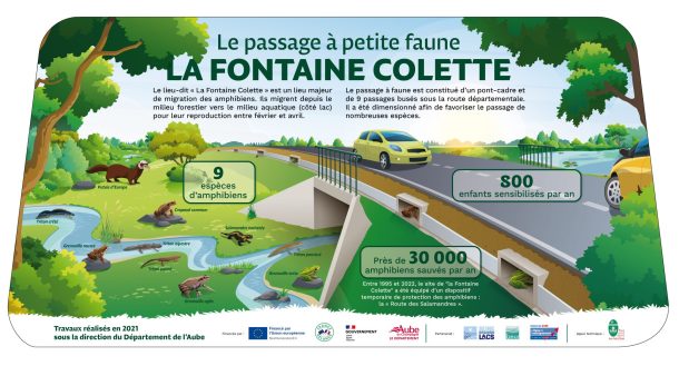 Espèces protégées : suivi des amphibiens dans les crapauducs - PNR ...