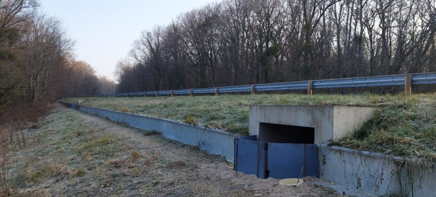 Espèces protégées : suivi des amphibiens dans les crapauducs - PNR ...