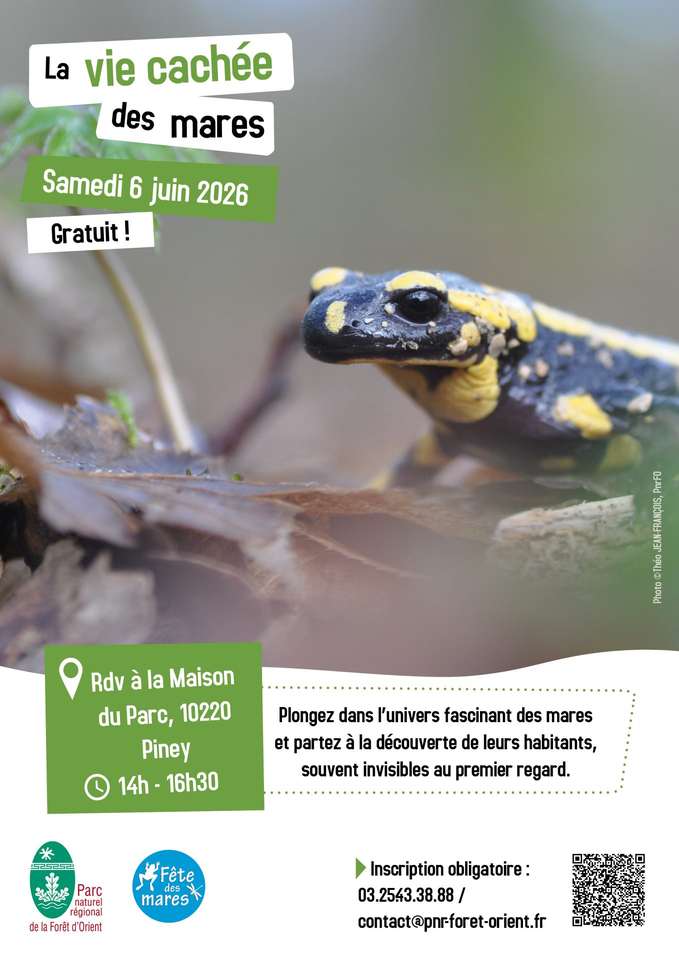 Fête des mares 2026 : deux animations à la rencontre de leurs habitants ...