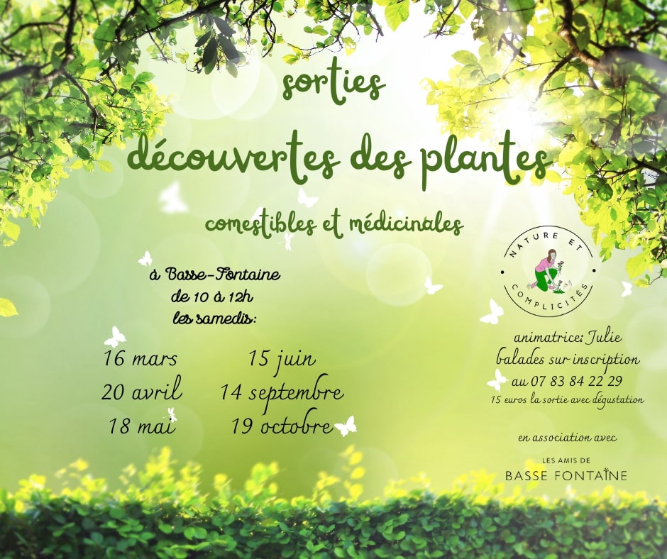 Sortie à la découverte des plantes sauvages comestibles et médicinales ...