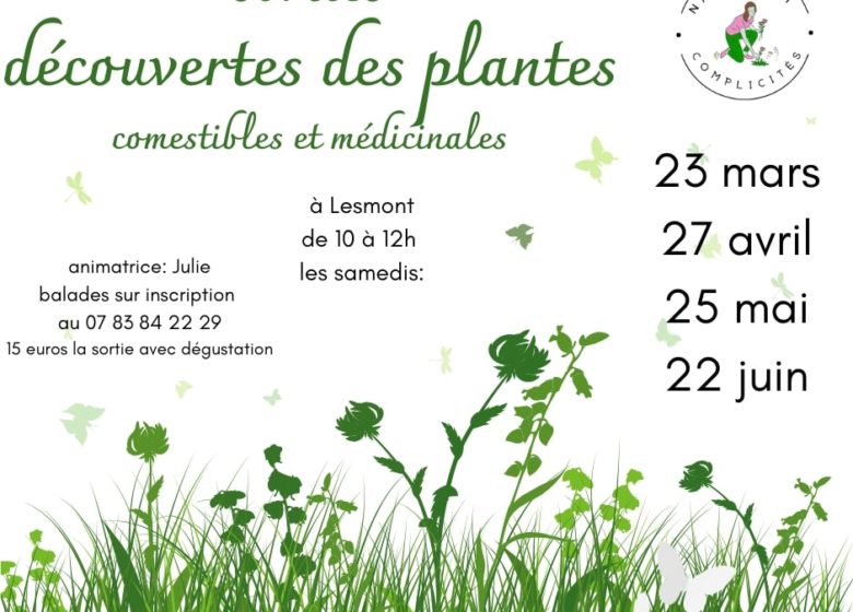 Sortie à la découverte des plantes sauvages comestibles et médicinales ...